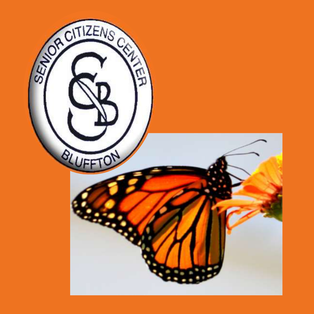Senior Center's Coach trips with Tonya | Bluffton Icon