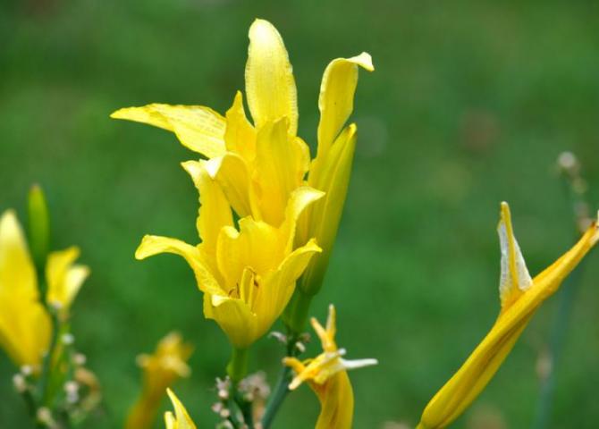 Bluffton Icon | Where Bluffton gets its news!