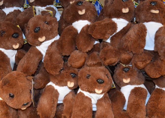 Bluffton Icon | Where Bluffton gets its news!