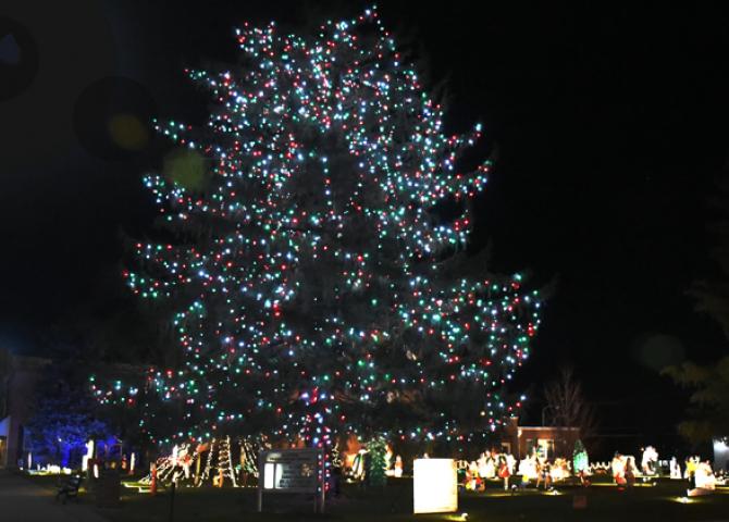 Bluffton Icon | Where Bluffton gets its news!